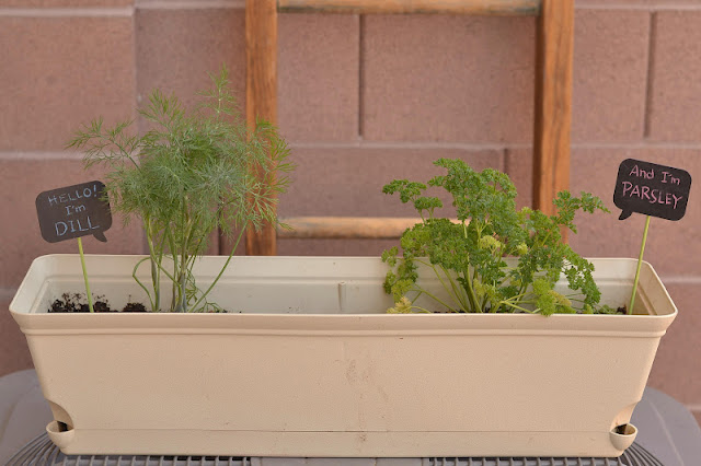 Talking Plant Markers – Home and Garden