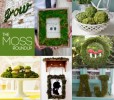 9 Amazing Moss-Covered Craft Ideas – Home and Garden