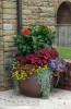 How To Make These 8 Stunning Container Gardening Ideas – Home and Garden