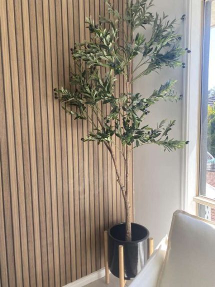 I Found the Best Cheap Olive Tree on Temu—Here’s Why It’s Worth Every ...
