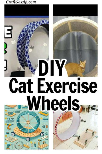 DIY Cat Exercise Wheel: Step-by-Step Guide And Video Tutorials – Home ...